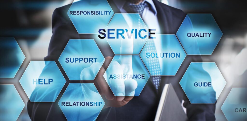 Expert IT Support Services – Matte